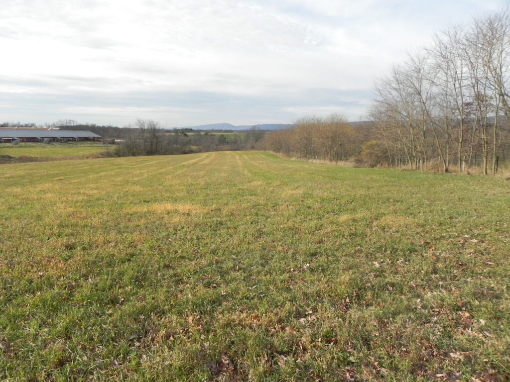 SOLD $960,000!! POULTRY FARM AUCTION ON 25 ACRES – NEWBURG, PA / TUE ...